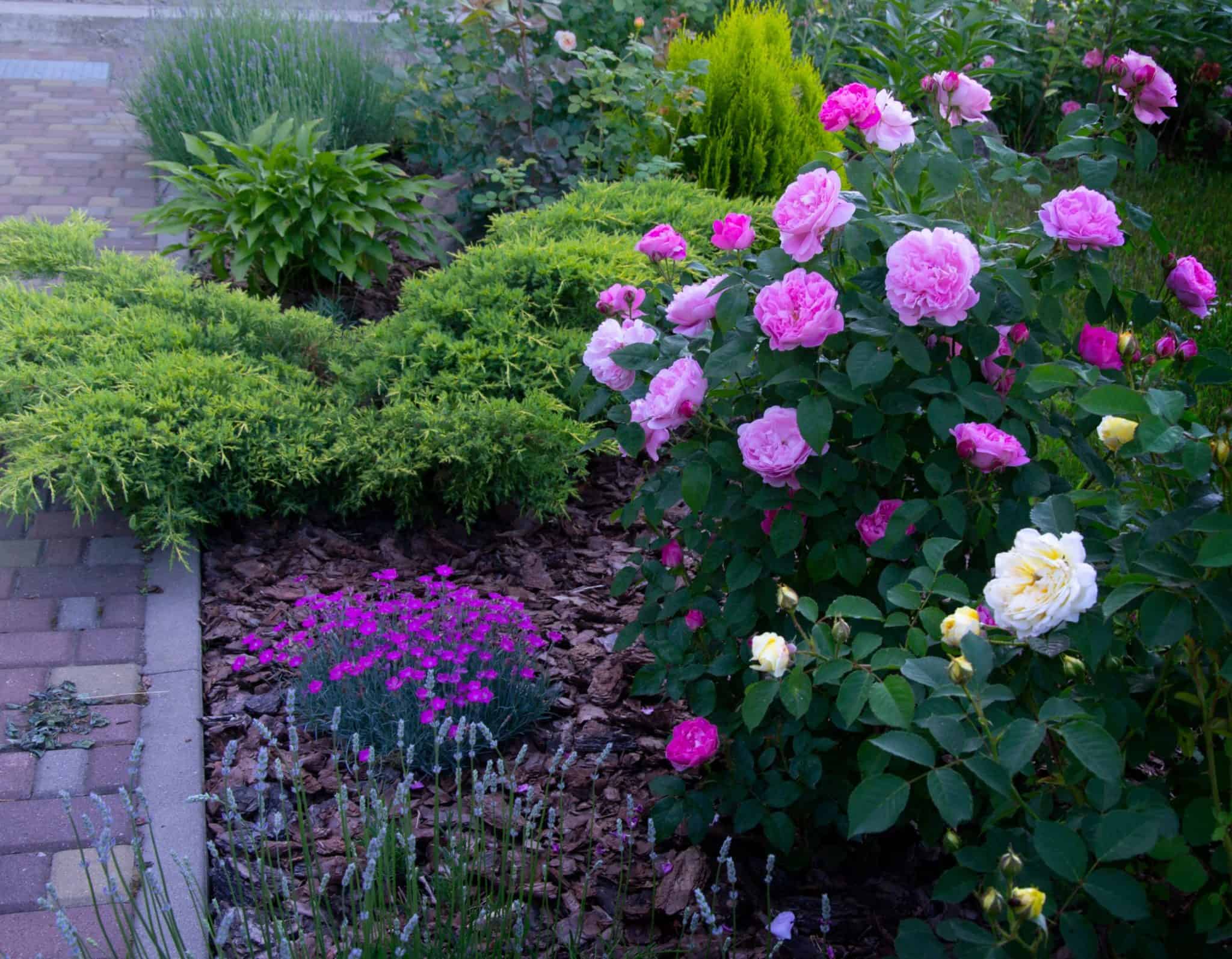 English Garden Style Arrangements - A Traditional Favorite - Gainan's ...