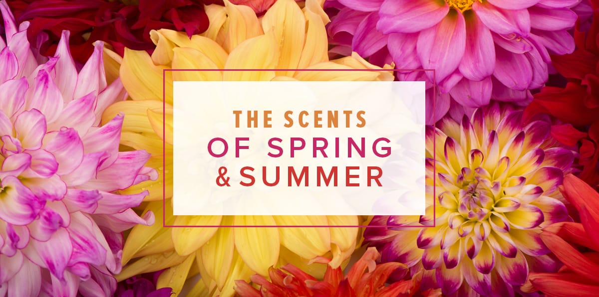 Fresh Flowers with Sweet, Pleasing Scents - Gainan's Flowers & Garden ...
